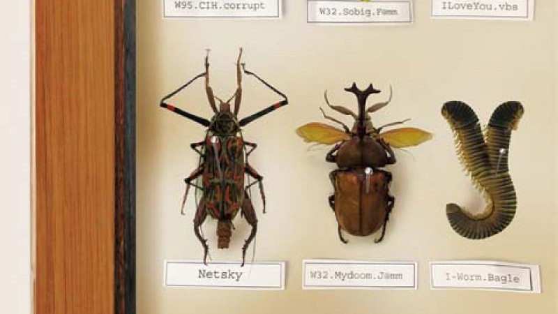 E-trust mail Scanner - Insectar