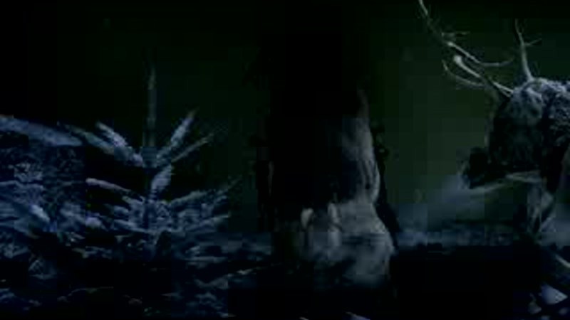 Bergenbier fara alcool - Renul