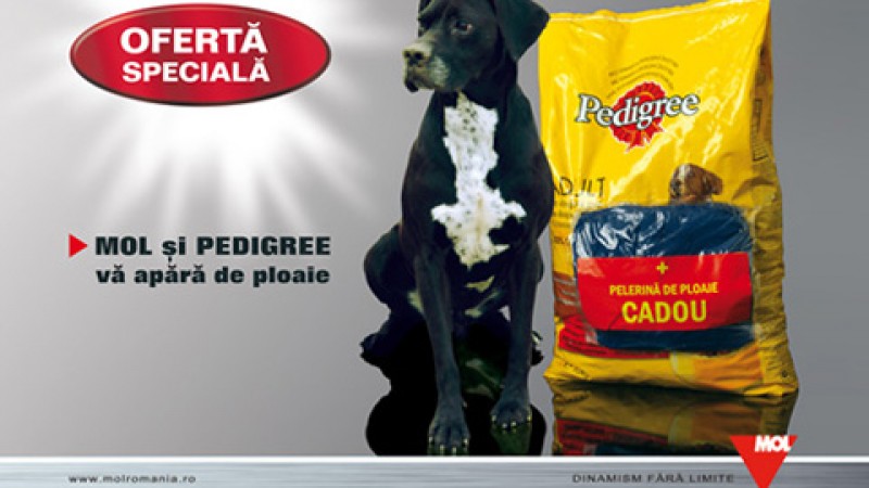 MOL - poster promovare produse din shop-urile MOL 2005