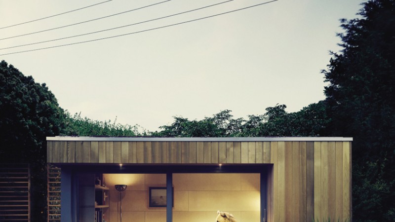 Ecospace Studios - Bear