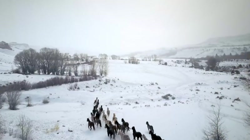 Spor - Noua Formula nu curge si acopera perfect