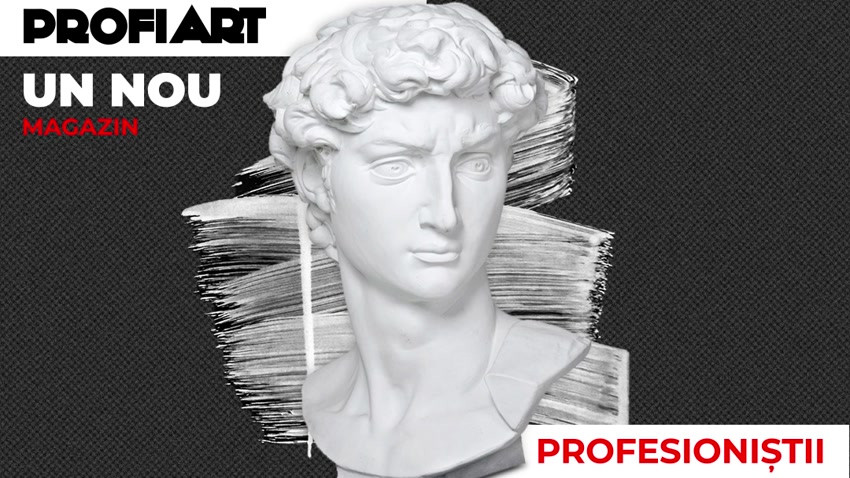 ProfiArt - Profesionistii pasiunilor tale